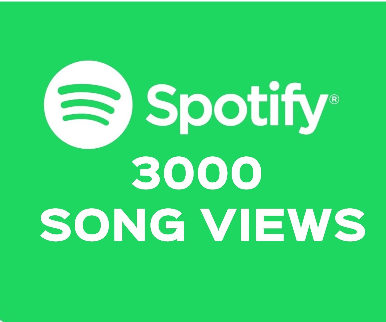 3000 SPOTIFY SONG PLAYS YTVIEWS IN